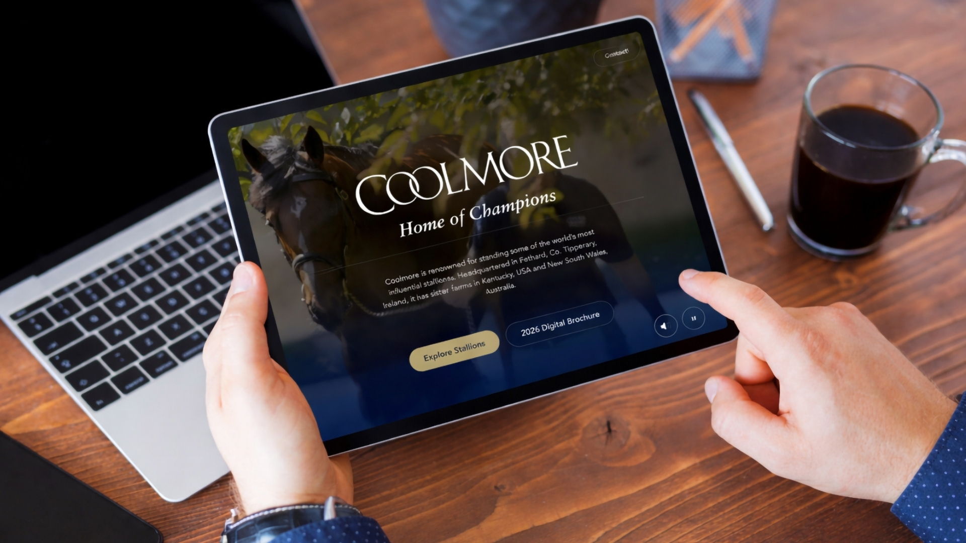 Coolmore Ireland | Home Of Champions Experience - Coolmore